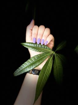 BEXLEY NAILS LLC - Columbus OH | Vagaro